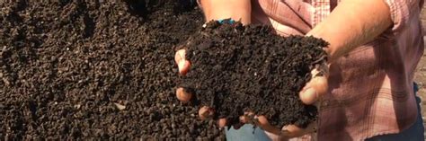 Composting…video Journey Of Composting Operations And A Peek At Teaming