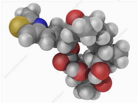 Epothilone B Drug Molecule Stock Image F0047034 Science Photo