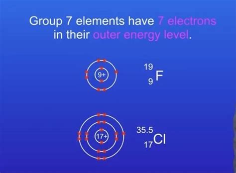 Group 7 Part 1 Flashcards Quizlet