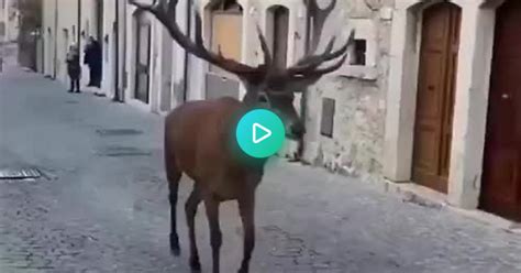 Abruzzo Italy Album On Imgur