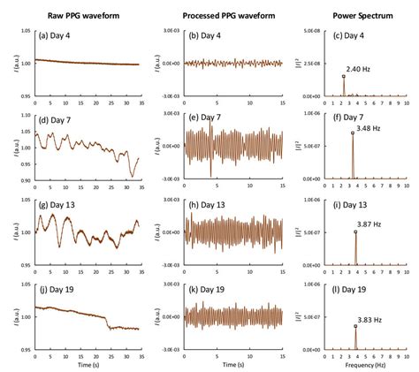 Ppg Waveforms And Their Corresponding Power Spectra Of The Processed