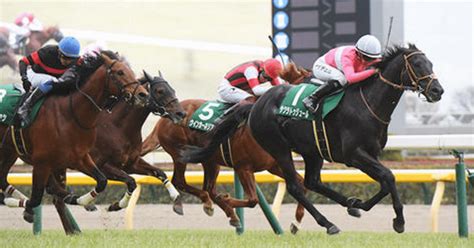 2月8日 中央競馬予想 早春s・アルデバランsほか厳選レース＋勝負レース｜もふうま