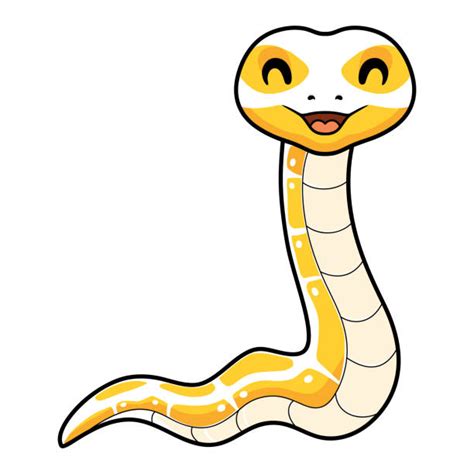 120 Royal Albino Python Stock Illustrations Royalty Free Vector