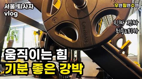 서울 퇴사자 Vlog 움직이는 힘 기분 좋은 강박 오일 페인팅 운동 퇴사자 모임 Youtube