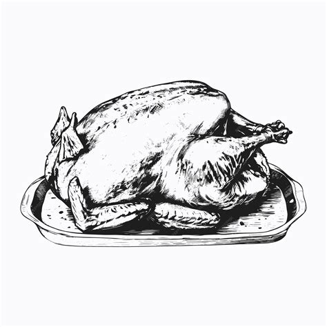 Vetor De Desenho De Estilo Gravado De Frango Assado Vetor Premium