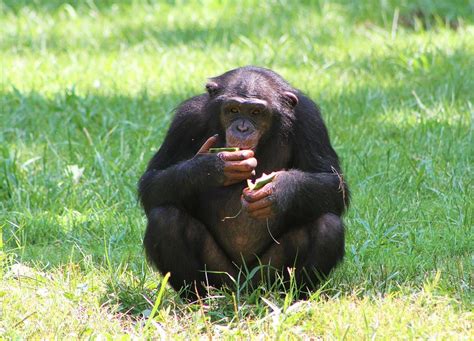Snacks Photograph By Brittney Powers Fine Art America