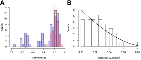 The Distribution Of Fitness Effects Among Synonymous Mutations In