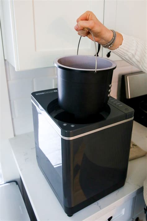 The Best Electric Indoor Composter Review Lucis Morsels