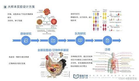 干货小样本大样本实验分组设计思路large Scale Genomic And Transcriptomic Analyses El