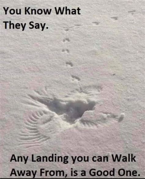 Wow Development Quality Assurance On Linkedin Leadership Management