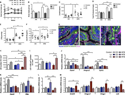L Paracasei Lp And E Coli Ec Colonization Affect Lipid Secretion