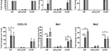 Regulation Of Interferon Stimulated Gene Isg Transcript Levels