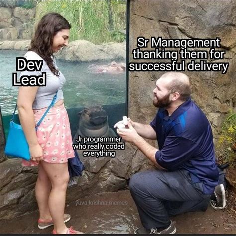 The Corporate Recognition Hierarchy ·