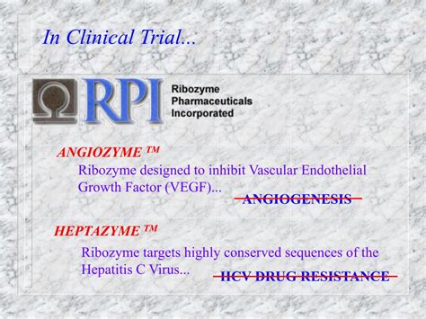 Ppt The Hammerhead Ribozyme Powerpoint Presentation Free Download