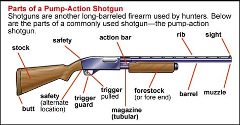 Firearm Information Guide