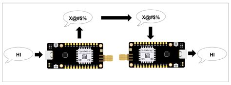 Best Practices For Securing LoRa Networks