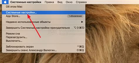 Как сменить язык на Mac Os на клавиатуре в интерфейсе системы