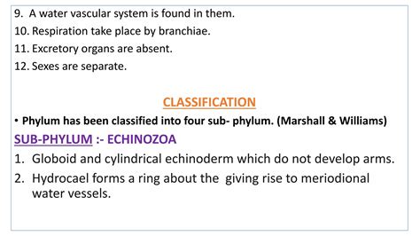 Echinodermata Classificationpptx