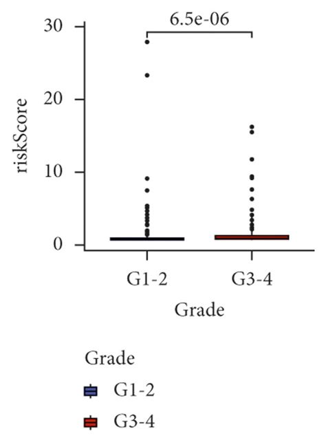 Relationship Between Risk Score And Clinicopathological Features