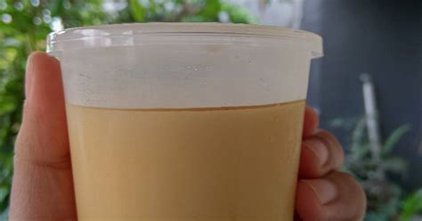 Resep Puding Susu Gula Palm Oleh Fajrin Rini Cookpad