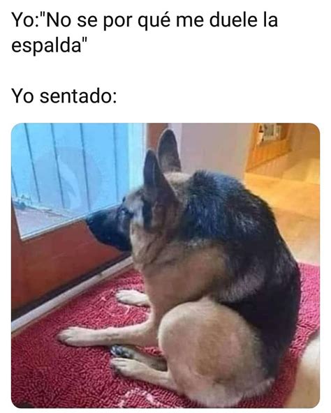 Yo No Sé Por Que Me Duele La Espalda Yo Sentado Memes