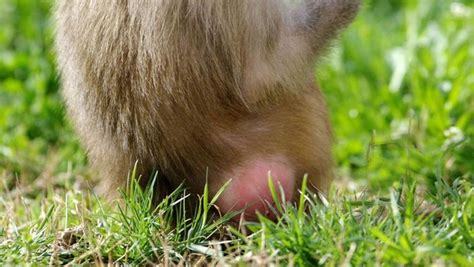 Les Photos Les Plus Drôles Du Monde Animal Ladepechefr