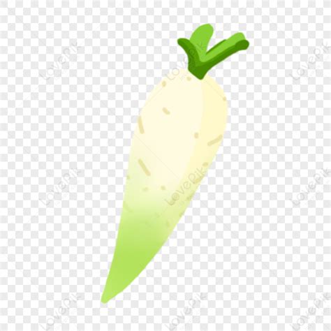 卡通水果蔬菜水嫩白蘿蔔卡通風格植物烹飪材料圖片素材 Psd圖片尺寸1200 × 1200px 高清圖案380378503 Zh