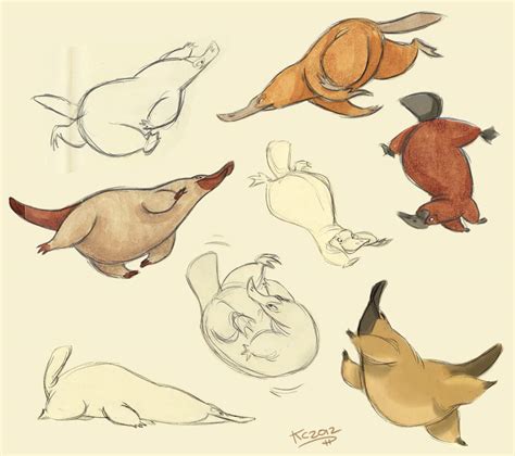 The Polarkeet Den Platypus