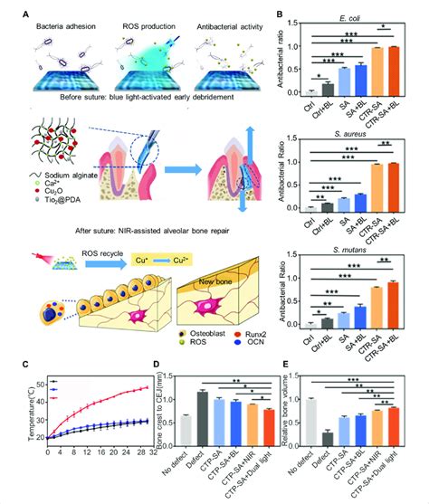 Dual Light Tunable Sodium Alginate Hydrogel Used As A Barrier Membrane Download Scientific