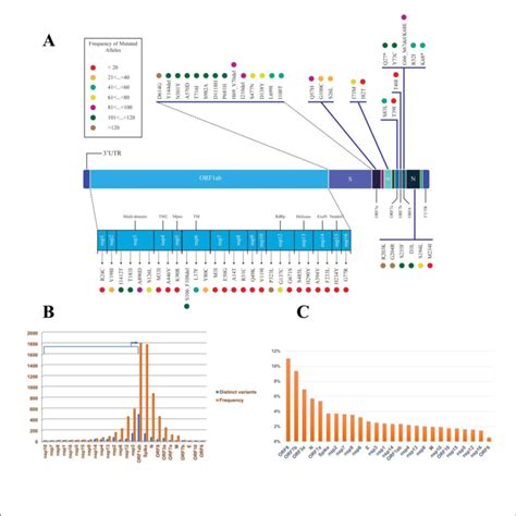 Mutational Profile Of Sars Cov 2 Viral Components In Iran A Shows A
