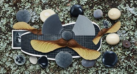 Systemic Factors → Term Systemic Factors → Term