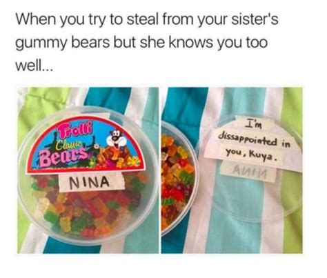 37 Sibling Memes That Prove They Can be So Annoying. - Gallery | eBaum's World