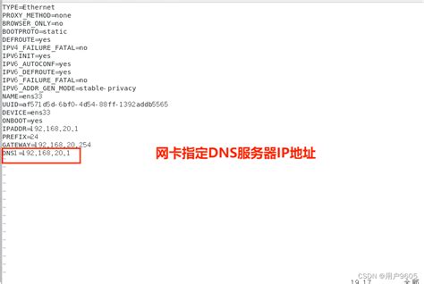 Linux系统DNS解析服务及实验解析 linux dns测试 CSDN博客