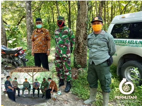 Perhutani Perhutani Bersinergi Dengan Forkopimcam Ngluyu Nganjuk Siaga
