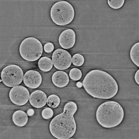 Synchrotron X Ray Micro Ct Digim Solution