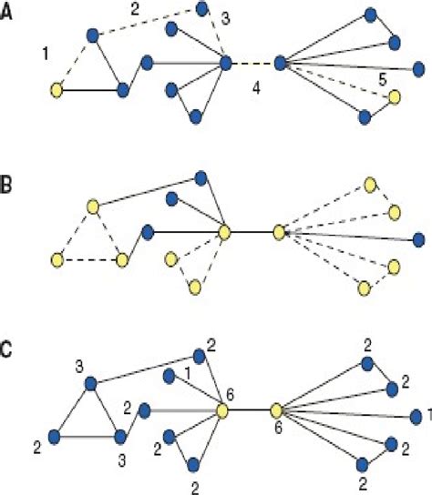 Graph Scheme Path Length Clustering Average Degree Nodes Are