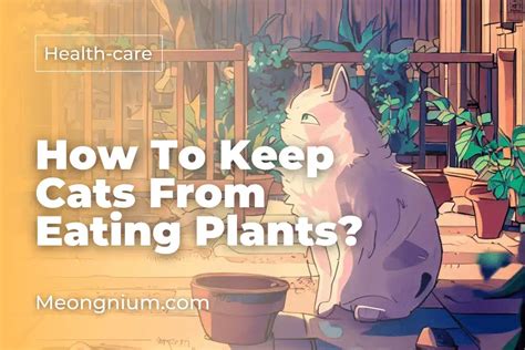 How To Keep Cats From Eating Plants 10 Proven Ways