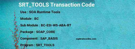SRT TOOLS SAP Tcode For SOA Runtime Tools