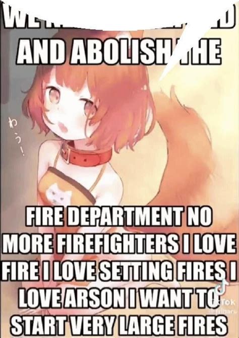 My Collection Part 6 Rspeechbubblememes