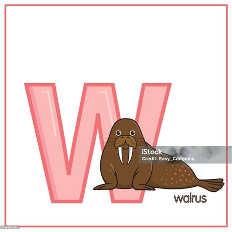 흰색 배경에 고립 된 월러스의 벡터 그림입니다 영어 편지를 인식하기 위해 어린이를위한 교육 및 학습 미디어로 사용하기위한 수도 문자 W 또는 아이들이 집과 학교에서 배우는
