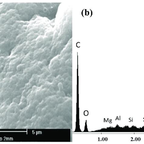 A Sem And B Eds Analysis Of Virgin Alginate Beads Download