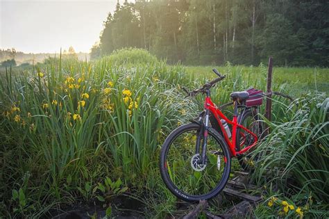 Zero waste w praktyce proste kroki do bardziej zrównoważonego stylu życia Liluna