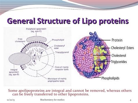 Lipoproteins Structure Classification Metabolism And Clinical Sign…