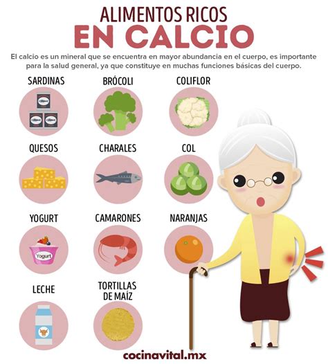 Alimentos Ricos En Calcio Artofit