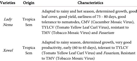 Origins And Characteristics Of The Tomato Varieties Download Scientific Diagram