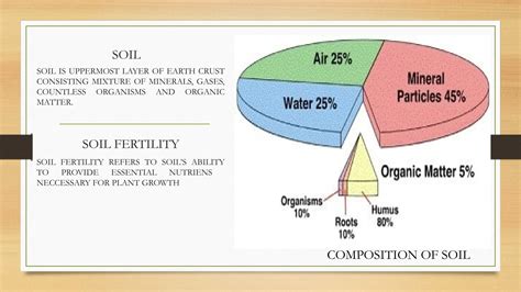 Fertilizers Classification Types Source Ppt