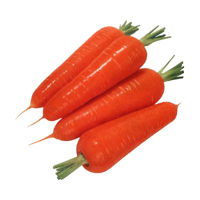 Carrot Transparent Png All