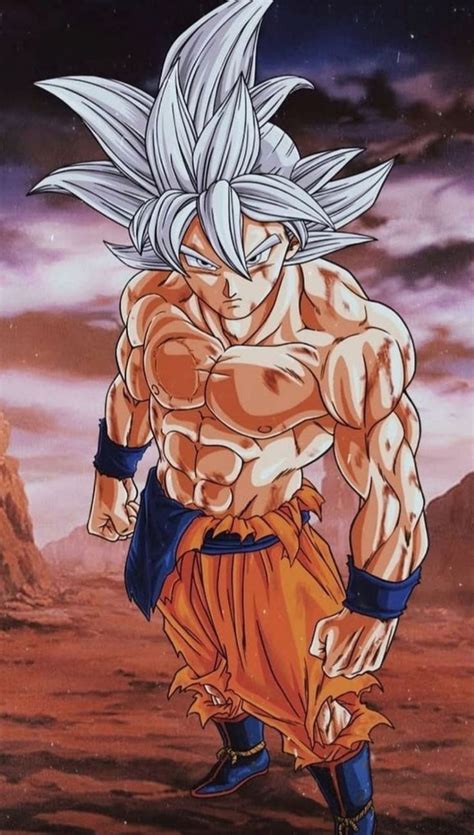 Goku Mui Artofit