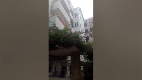 এরকম গেট ফুল গাছ ভালো লাগে। Youtube