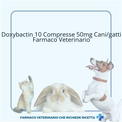 Doxybactin 10 Compresse 50mg Cani Gatti Medicinale Veterinario Vendita Online Tuttofarma